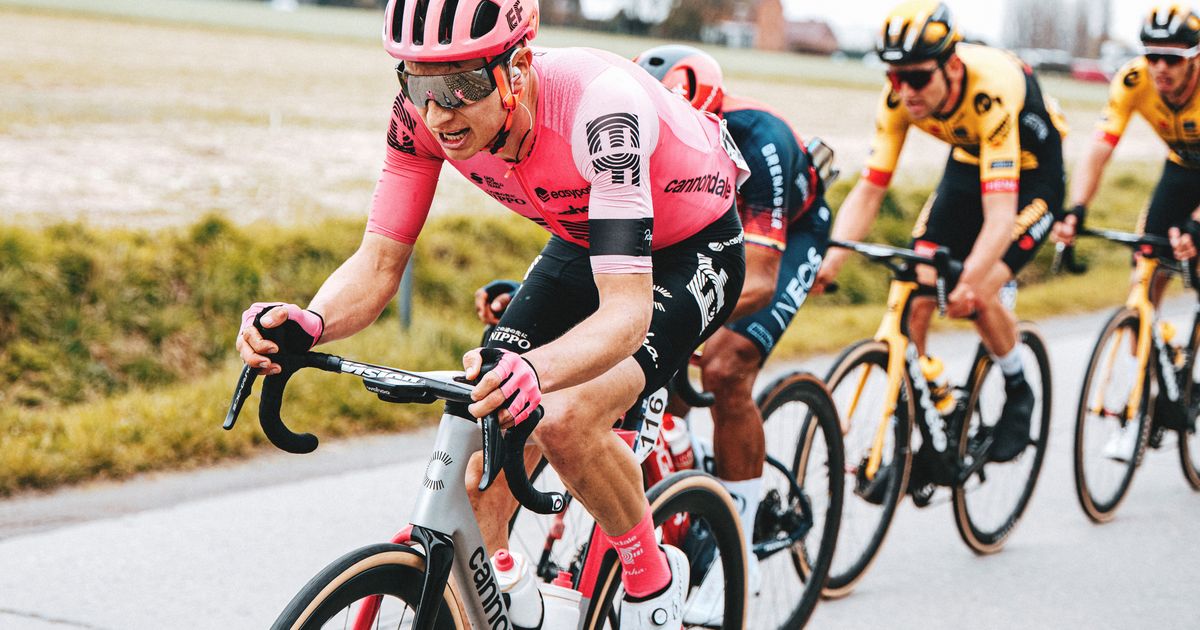 Neilson Powless will go all-in at De Ronde | EF Pro Cycling
