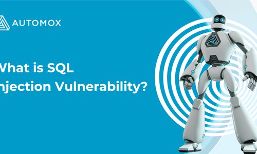 What Is Sql Injection Vulnerability