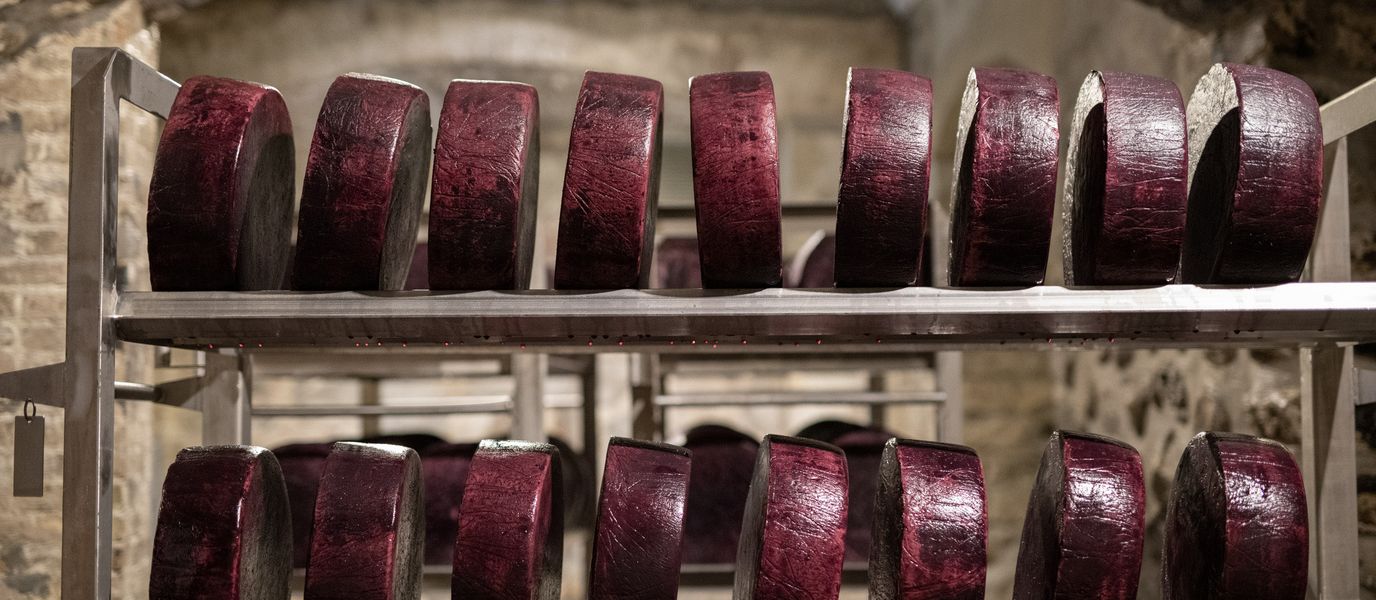 A Timeless Tale: Merlot BellaVitano - Sartori Cheese