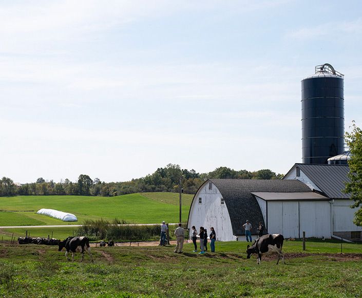 Our Farms - Sartori Cheese