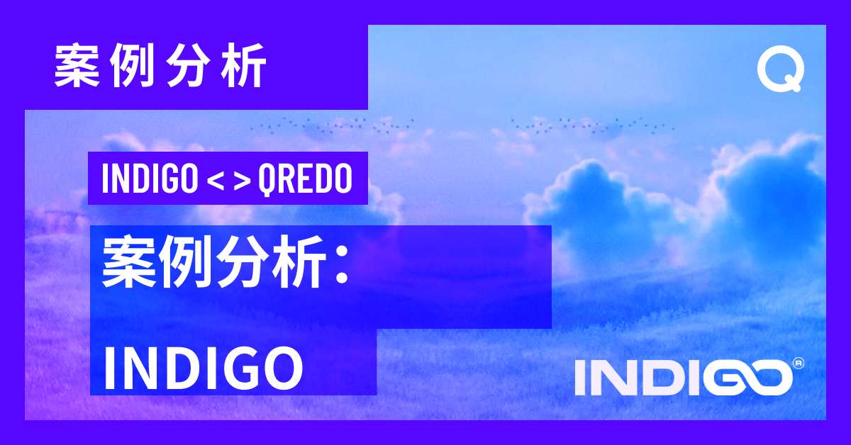 案例分析： Indigo 基金
