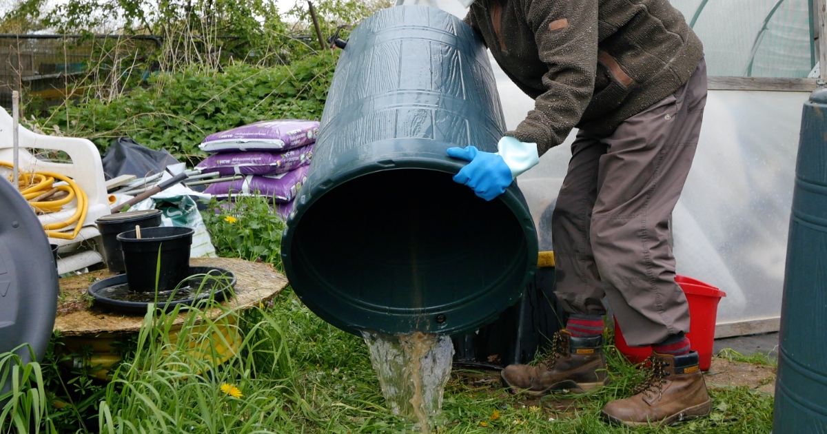 How To Clean Water Butts | Allotment Book