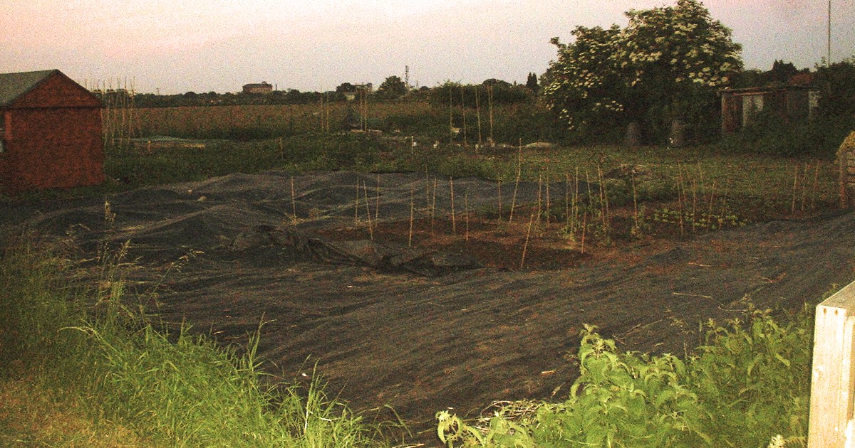 Why Have An Allotment? | Allotment Book