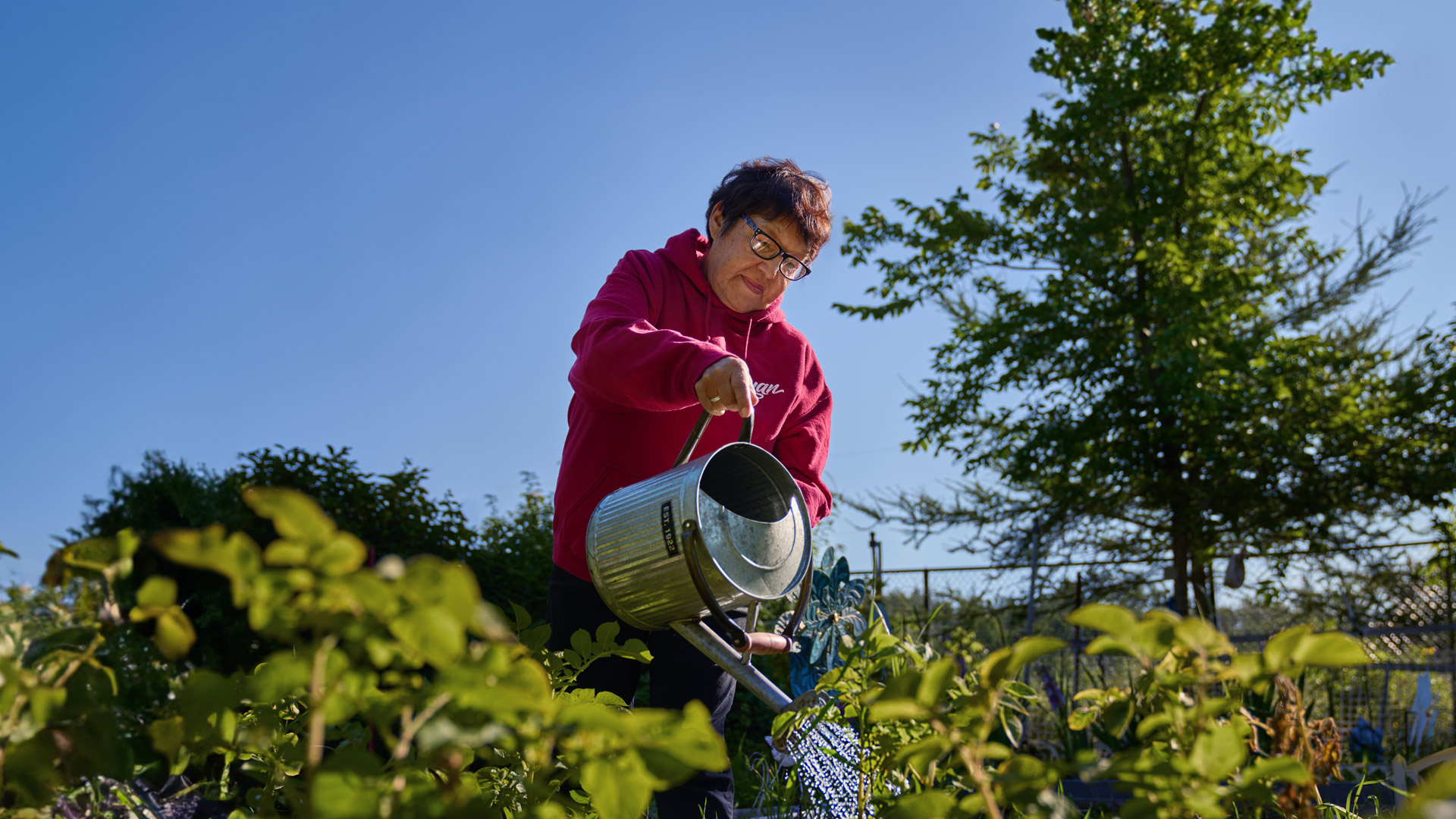 Alice Rigney | Fort McMurray Wood Buffalo