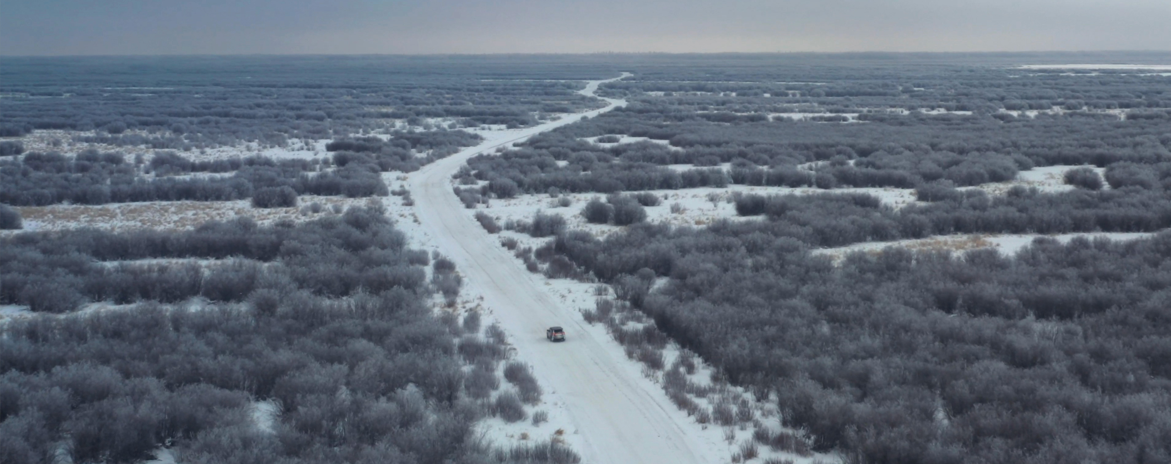 Winter Road Experiences | Fort McMurray Wood Buffalo