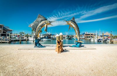 Dog Poop Laws: Florida State Laws and Regulations