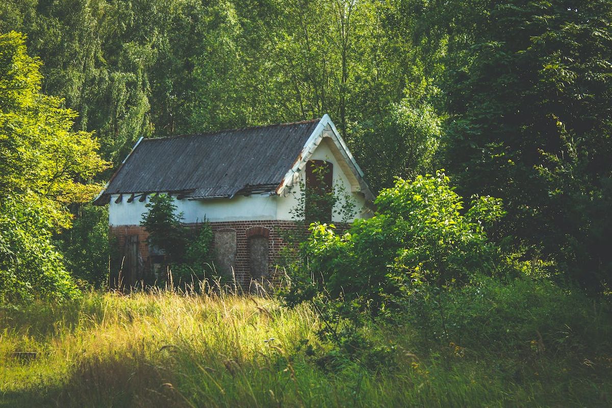 Adverse Possession And Squatters Rights What You Need To Know