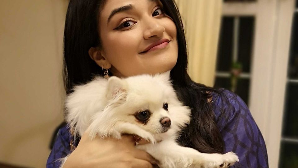 Kaneez's Hutch Journey