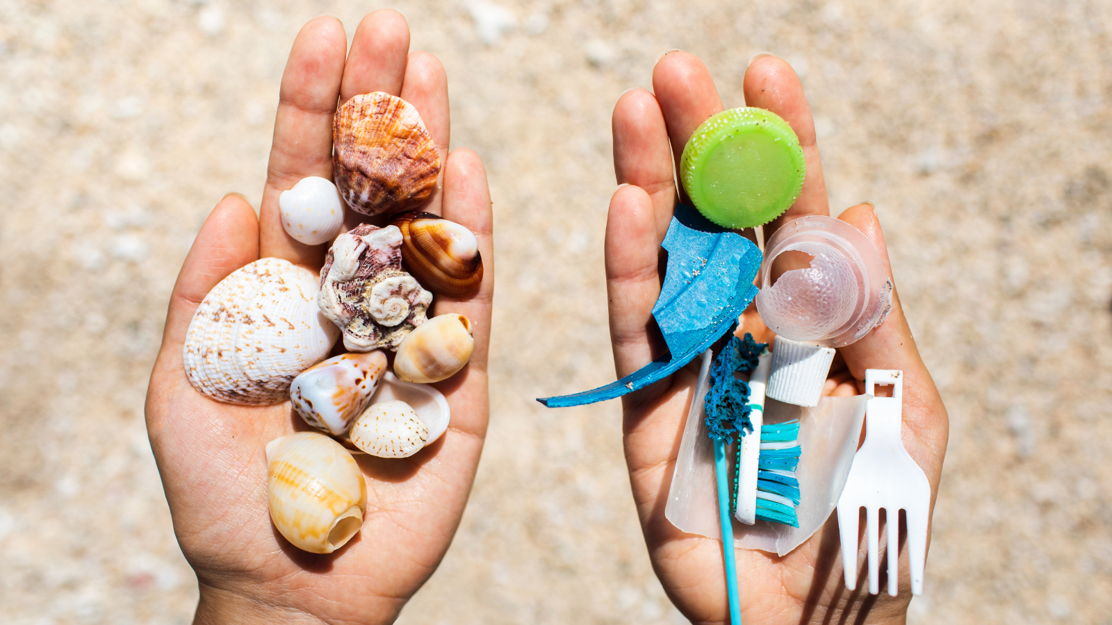 Plastic-Free July Guide: Sustainable Change Tips