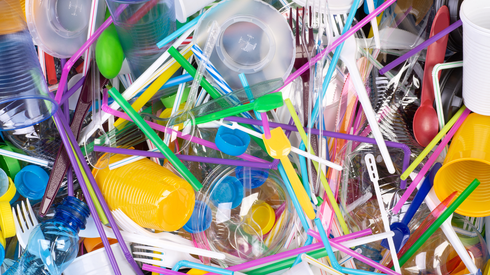 Environmental Impact of Single-Use Plastics vs. Compostables