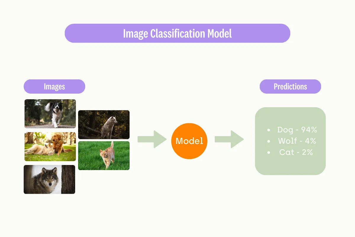 What Is Image Classification Free Worksheets Printable