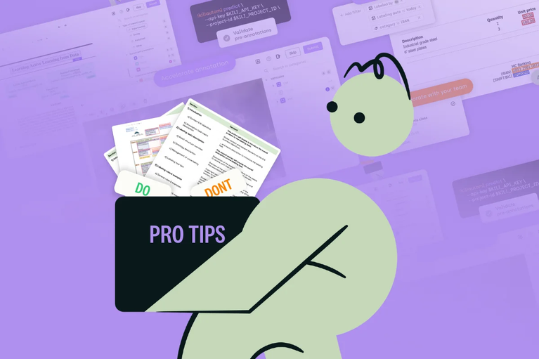Data Labeling Guidelines: Do's, Dont's and Pro Tips