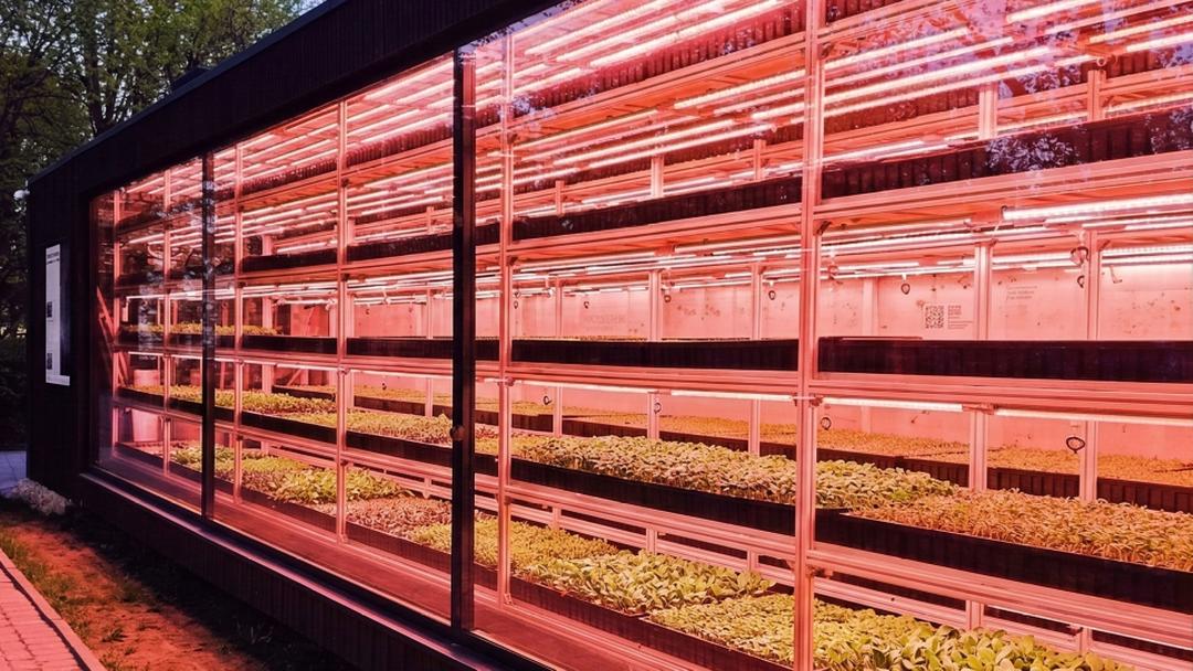 DEA „Unternehmer und kleine Unternehmen“ 2026 – Carbon Less Future - EUIPO