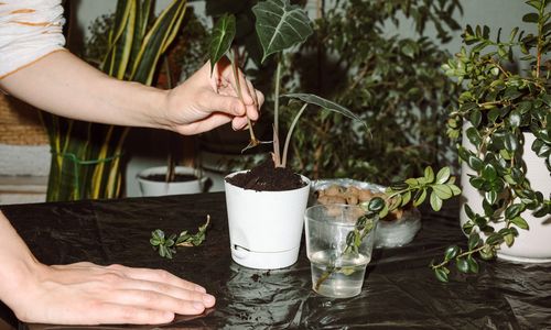 Transforming Payfac Ecosystems with Embedded Capital