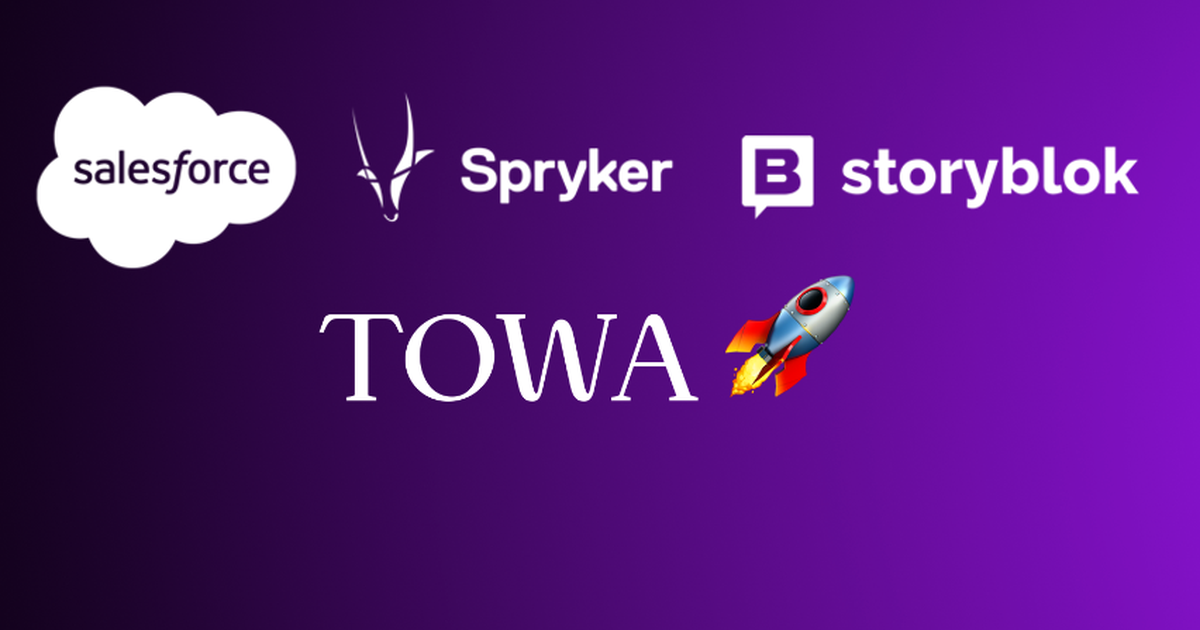 Unsere Technologiepartner Storyblok, Spryker und Salesforce - TOWA Insights