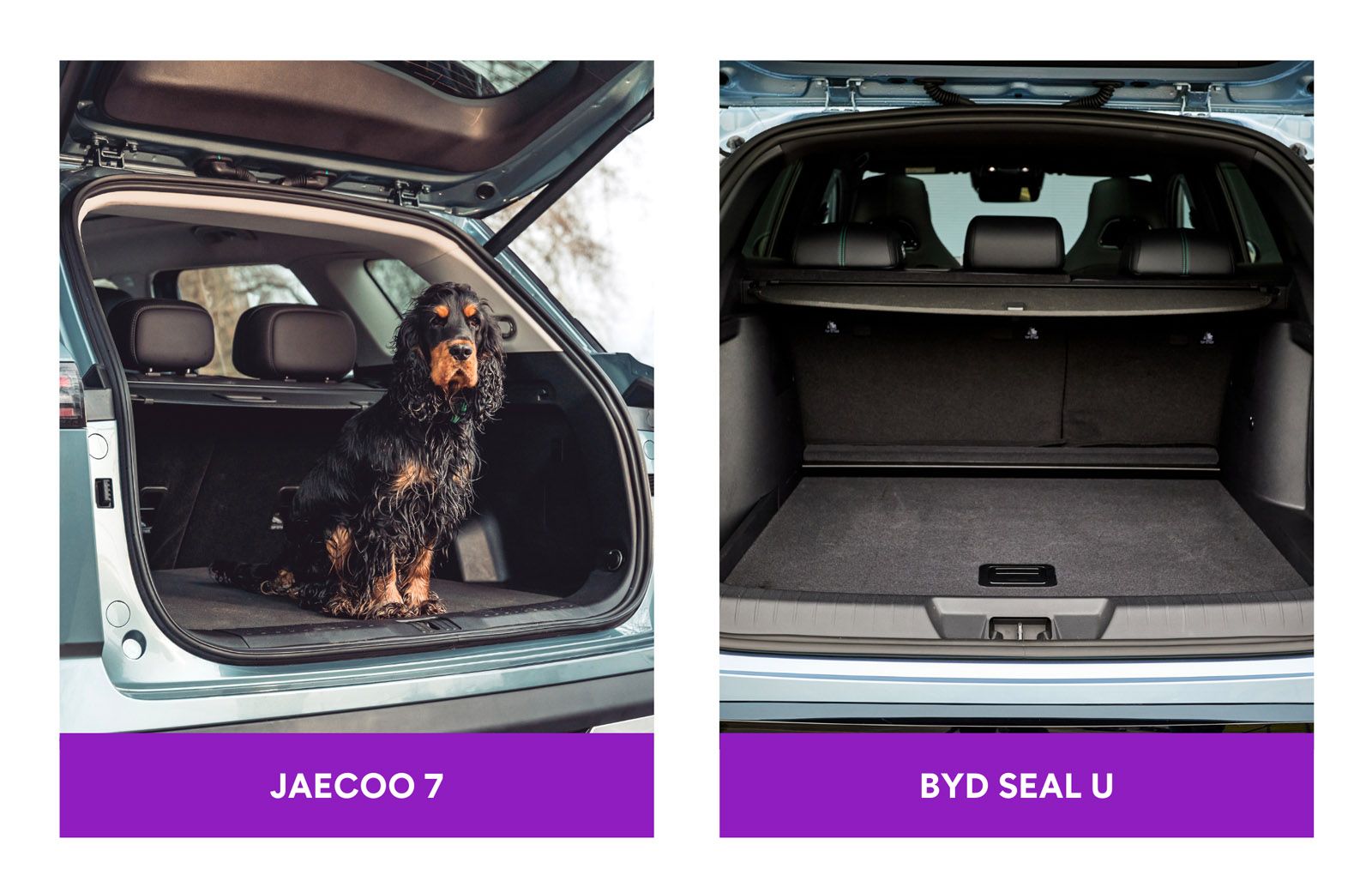 JAECOO 7 vs. BYD SEAL U: which is better? - cinch