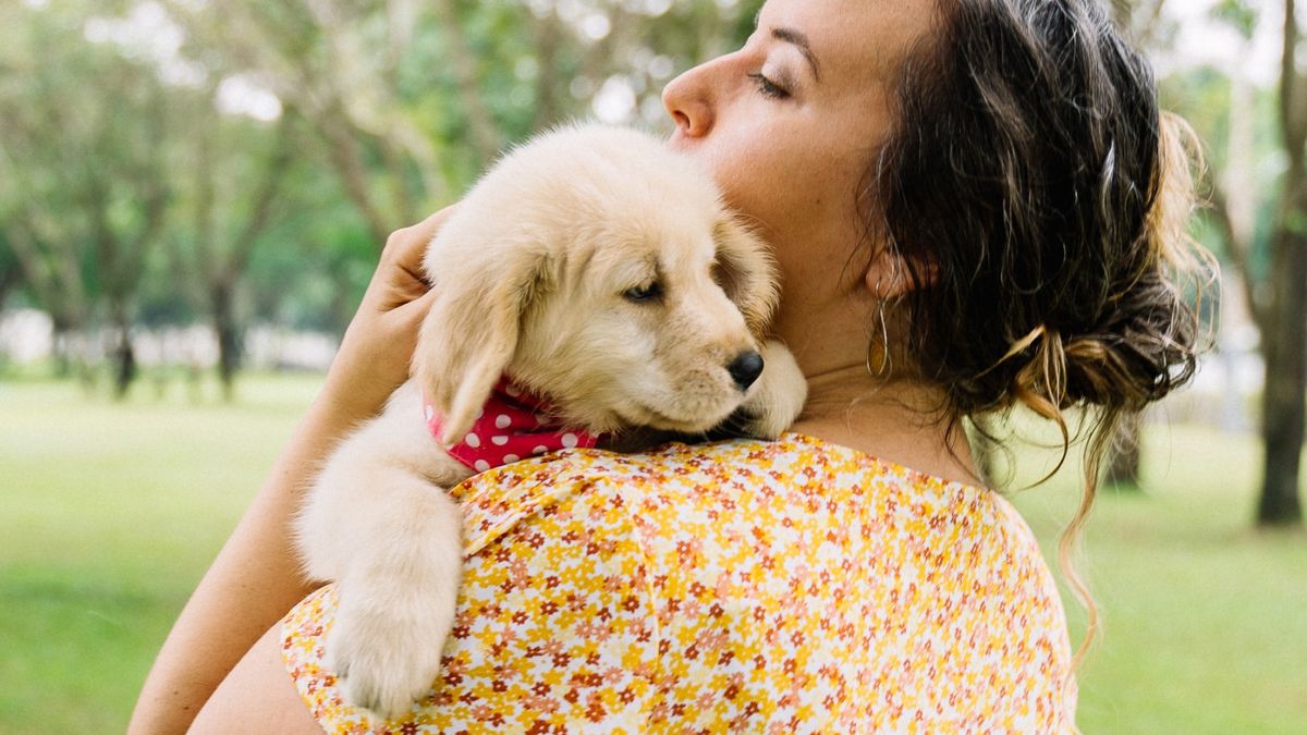 11 vital things to take good care of your pet | Napo Pet Care