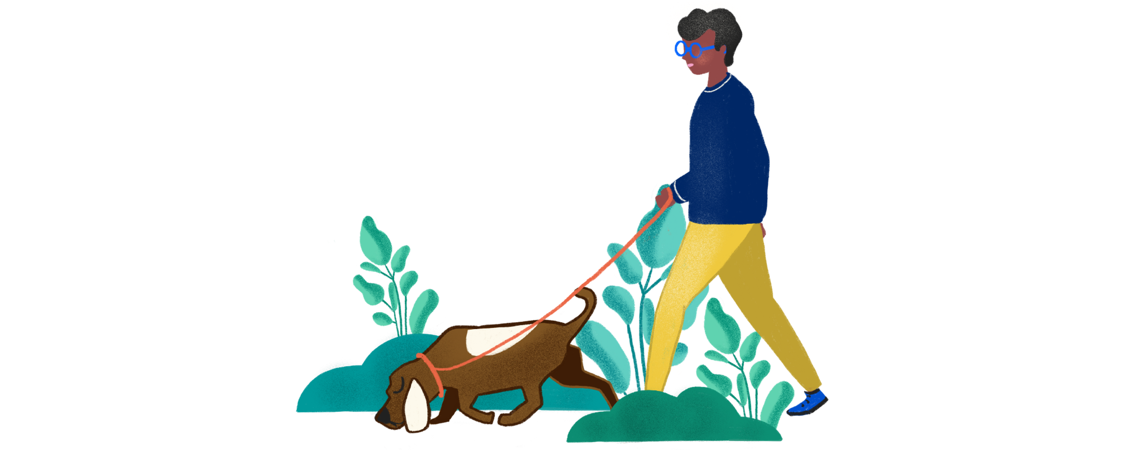 Comprehensive dog insurance from Napo | Napo Pet Insurance