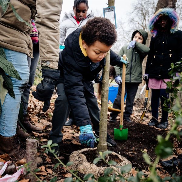 OT Group signs multi-year partnership with The Tree Council in bid to ...