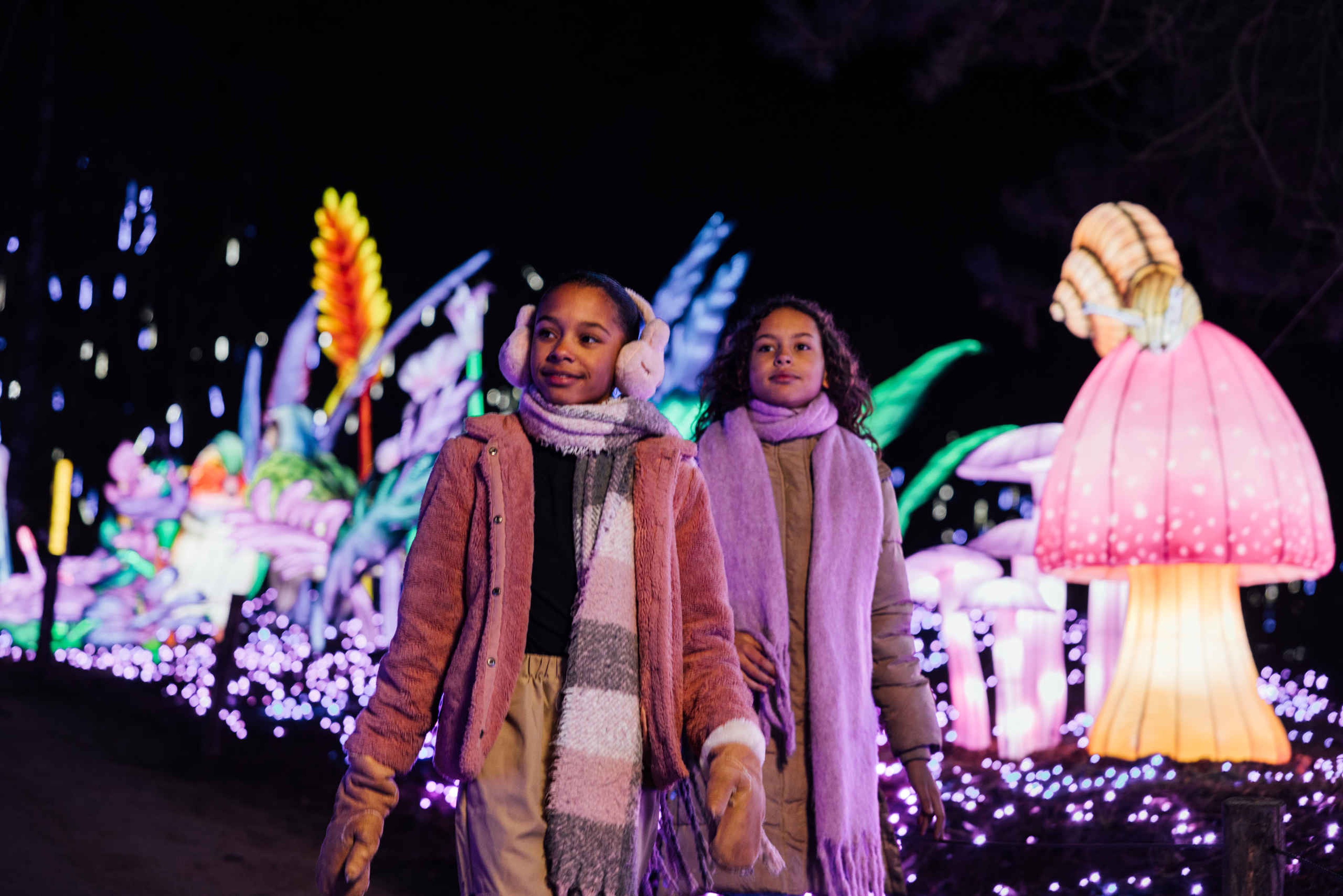 Light Safari | Safaripark Beekse Bergen