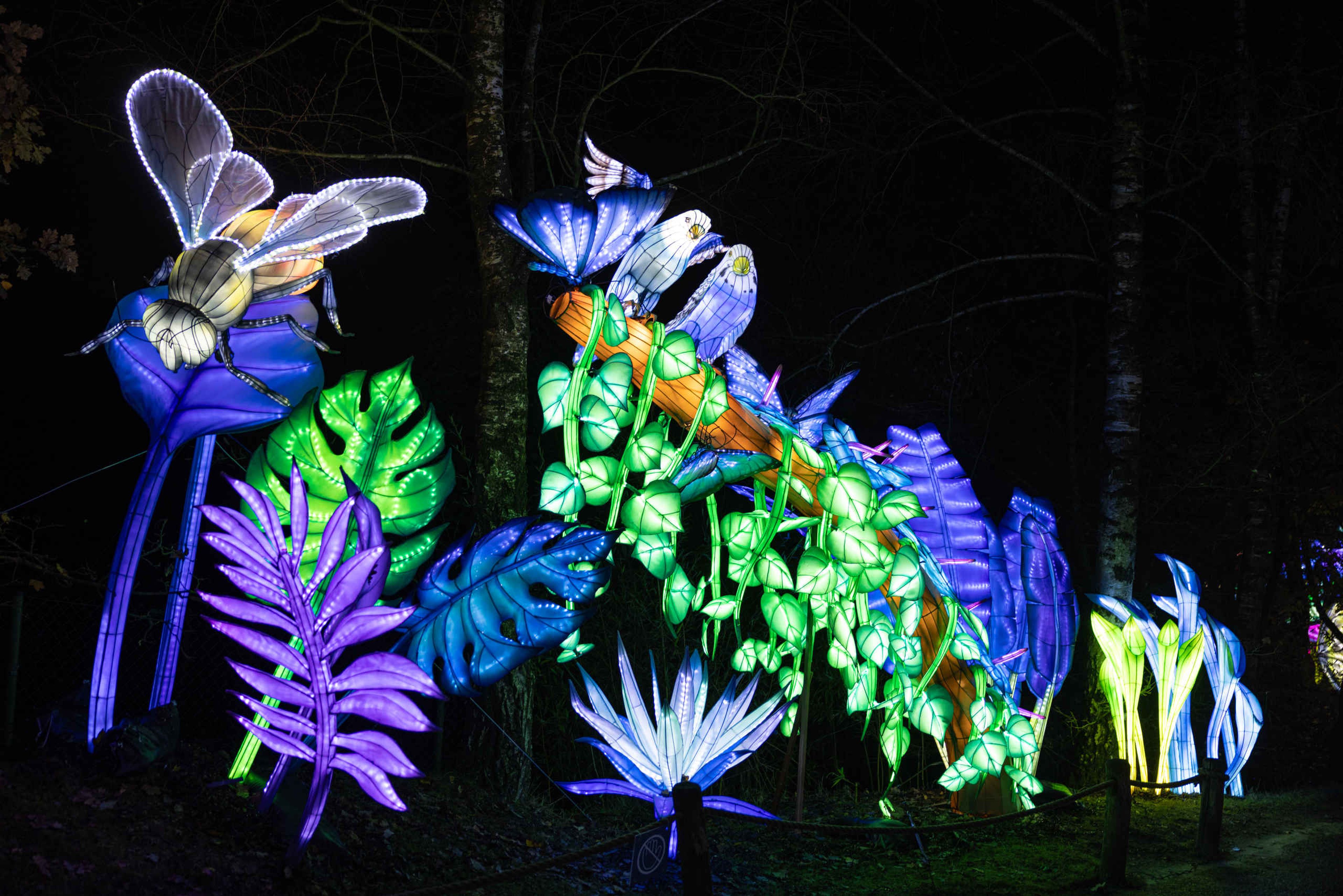 Light Safari | Safaripark Beekse Bergen