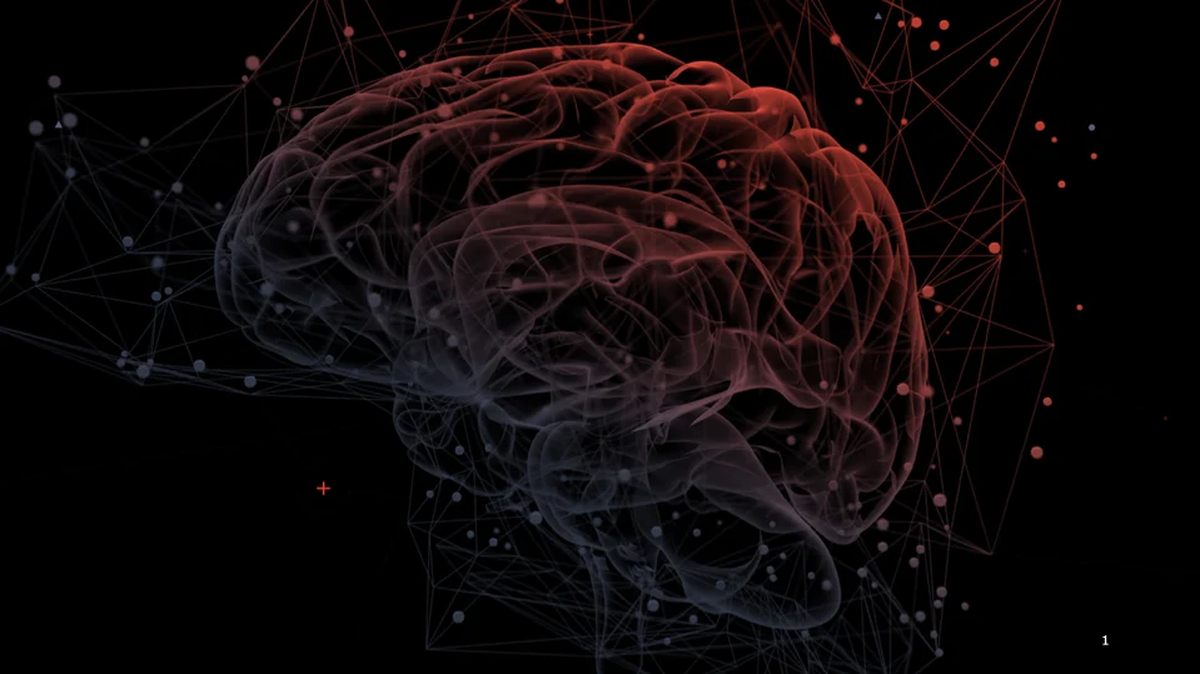 Join us at Intl. Multi-Brain Barcelona Congress - Tobii