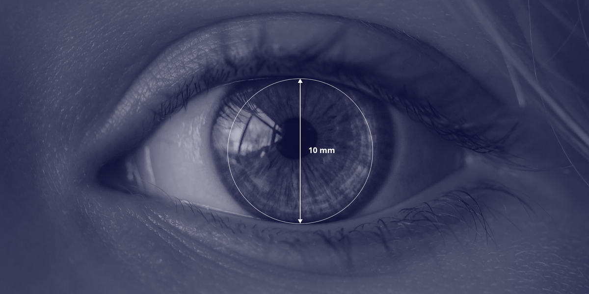 Erhalten Sie ein kostenloses Exemplar unserer Augenöffnungsberichte - Tobii