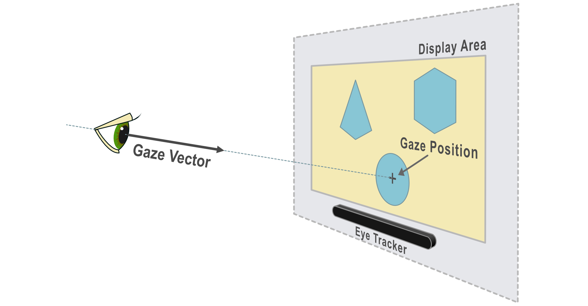 Tobii Gaze Interaction Frontiers | A Scoping Review Of Gaze And Eye