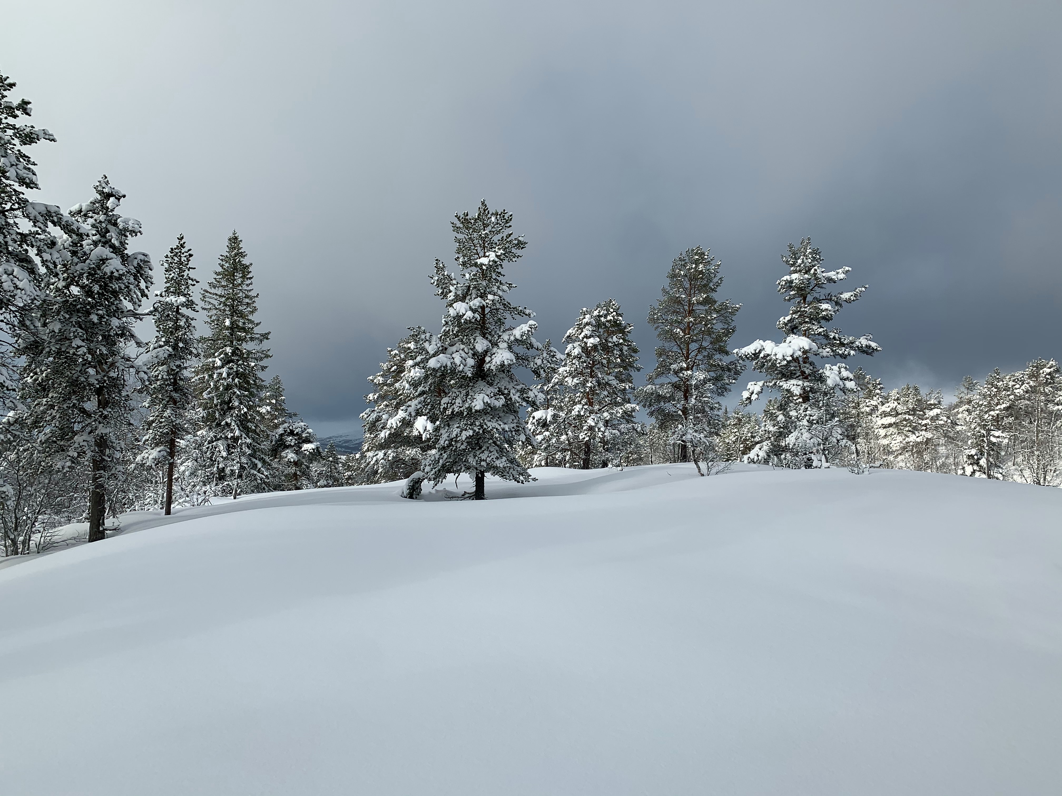 Voss Ski Holidays - Heidi - Let's Go