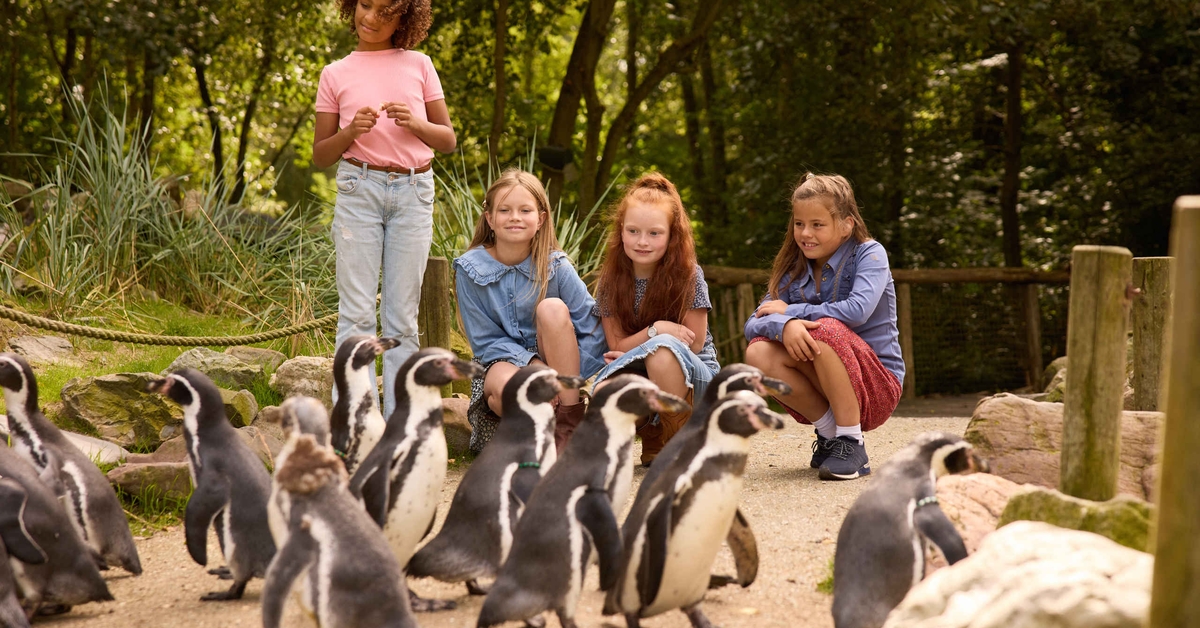 Your exploration starts here | AquaZoo Leeuwarden