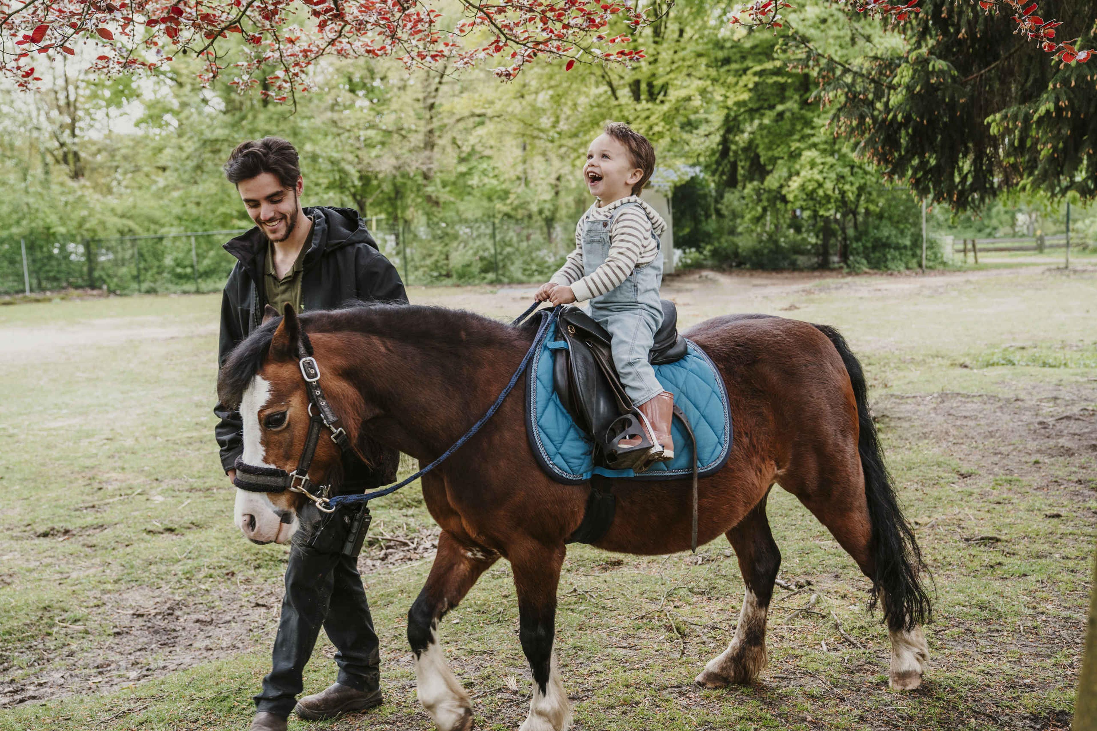 Events | Vakantiepark Dierenbos