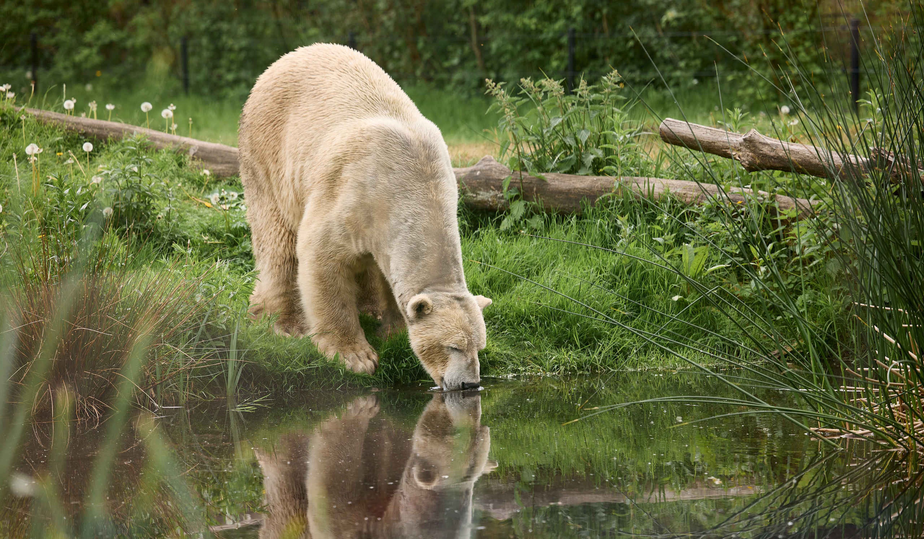 Ontdek het Zoo programma van AquaZoo Leeuwarden