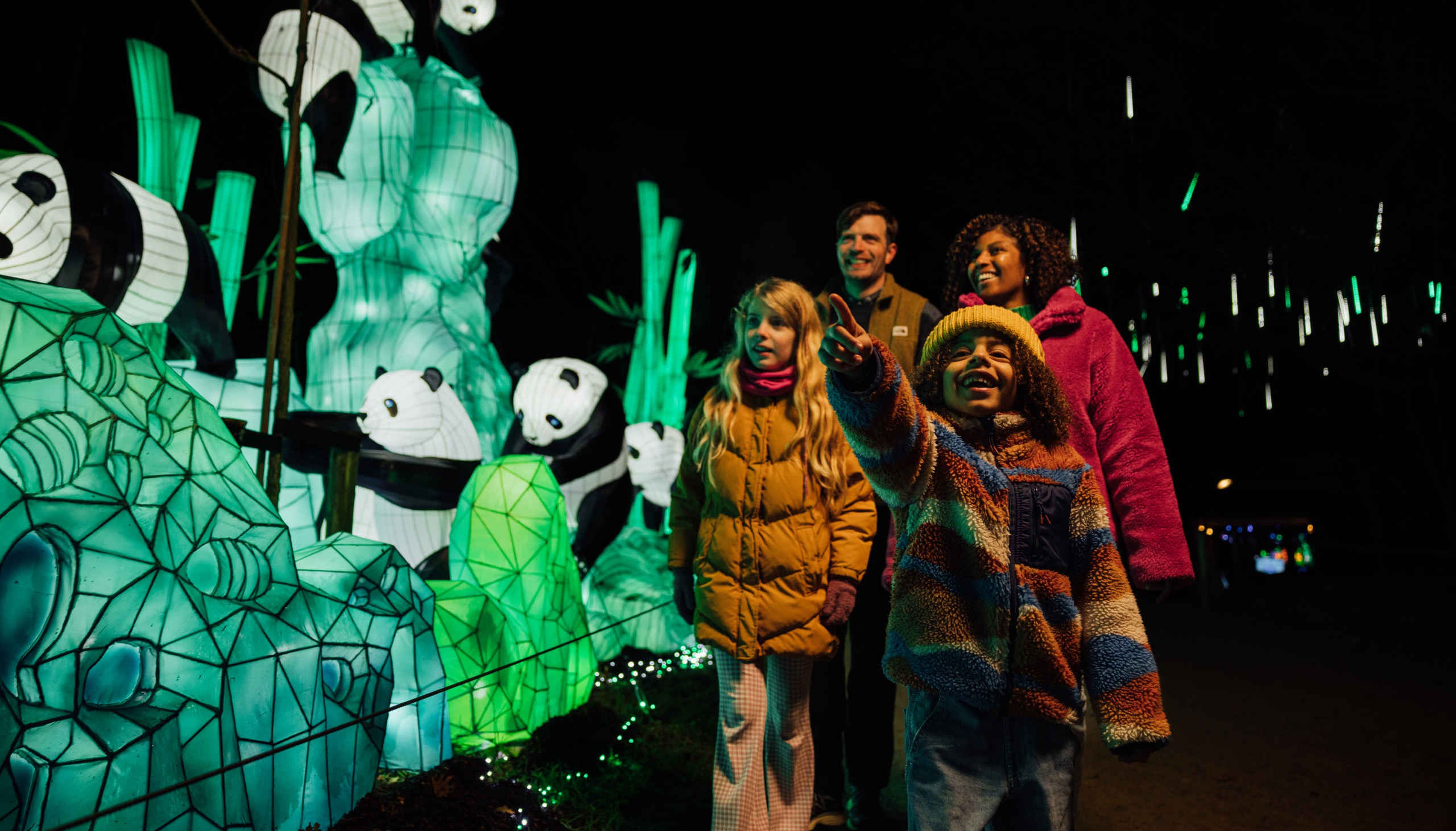 Light Safari | Safaripark Beekse Bergen