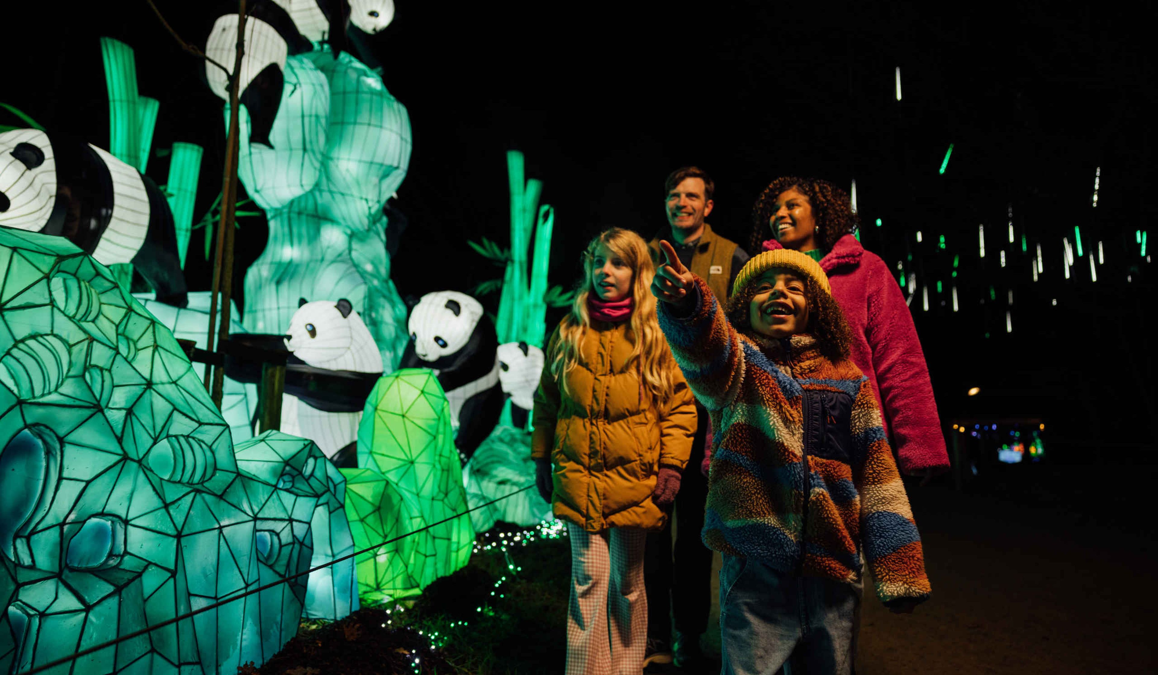 Praktische informatie I Light Safari Beekse Bergen