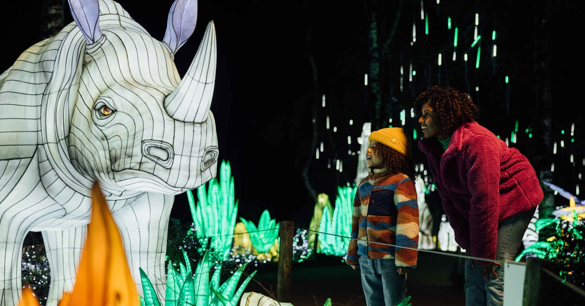 Prijzen en tickets I Light Safari Beekse Bergen