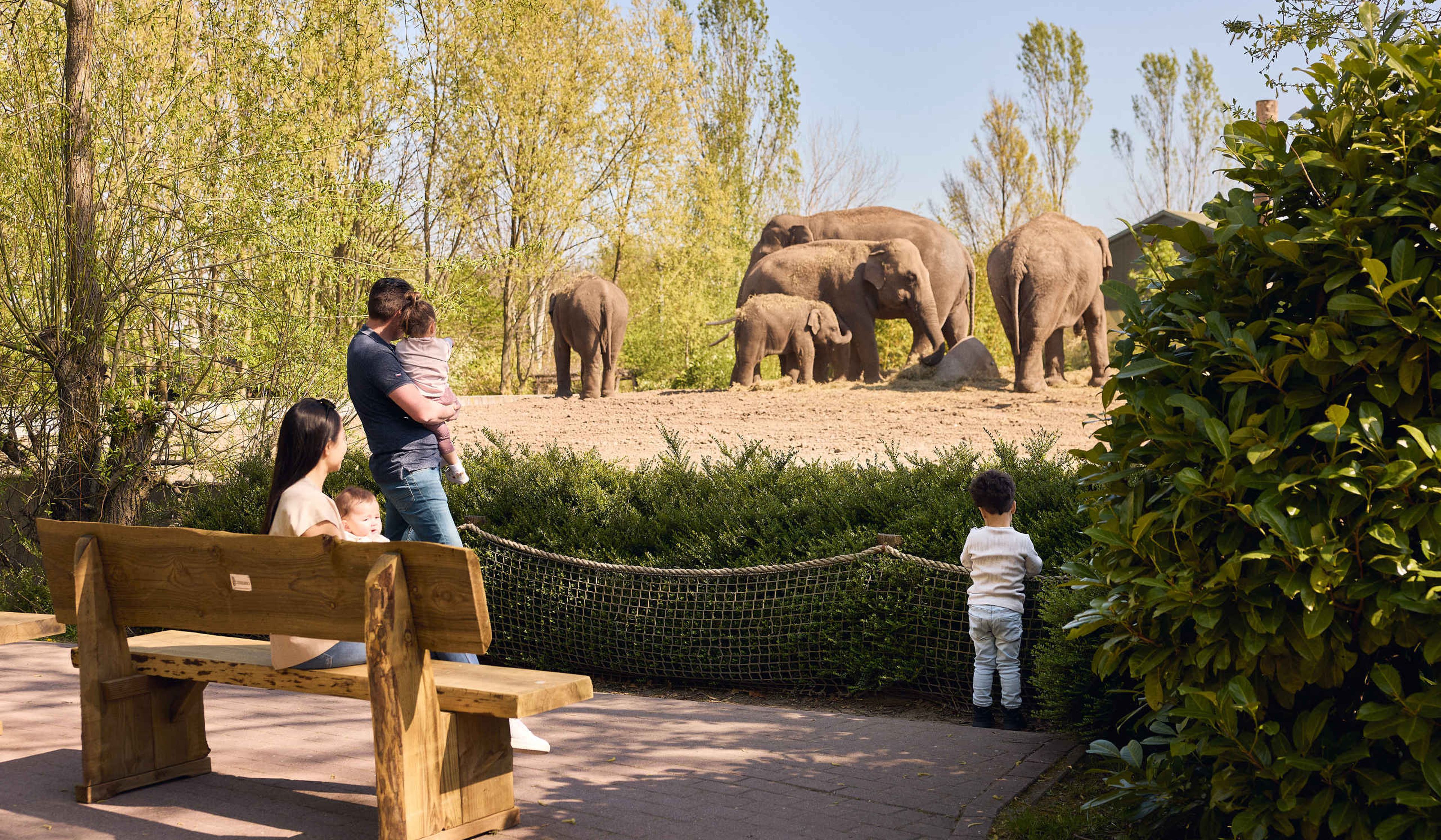Adresse & Route, planen Sie Ihre Reise nach Nuenen | Eindhoven Zoo