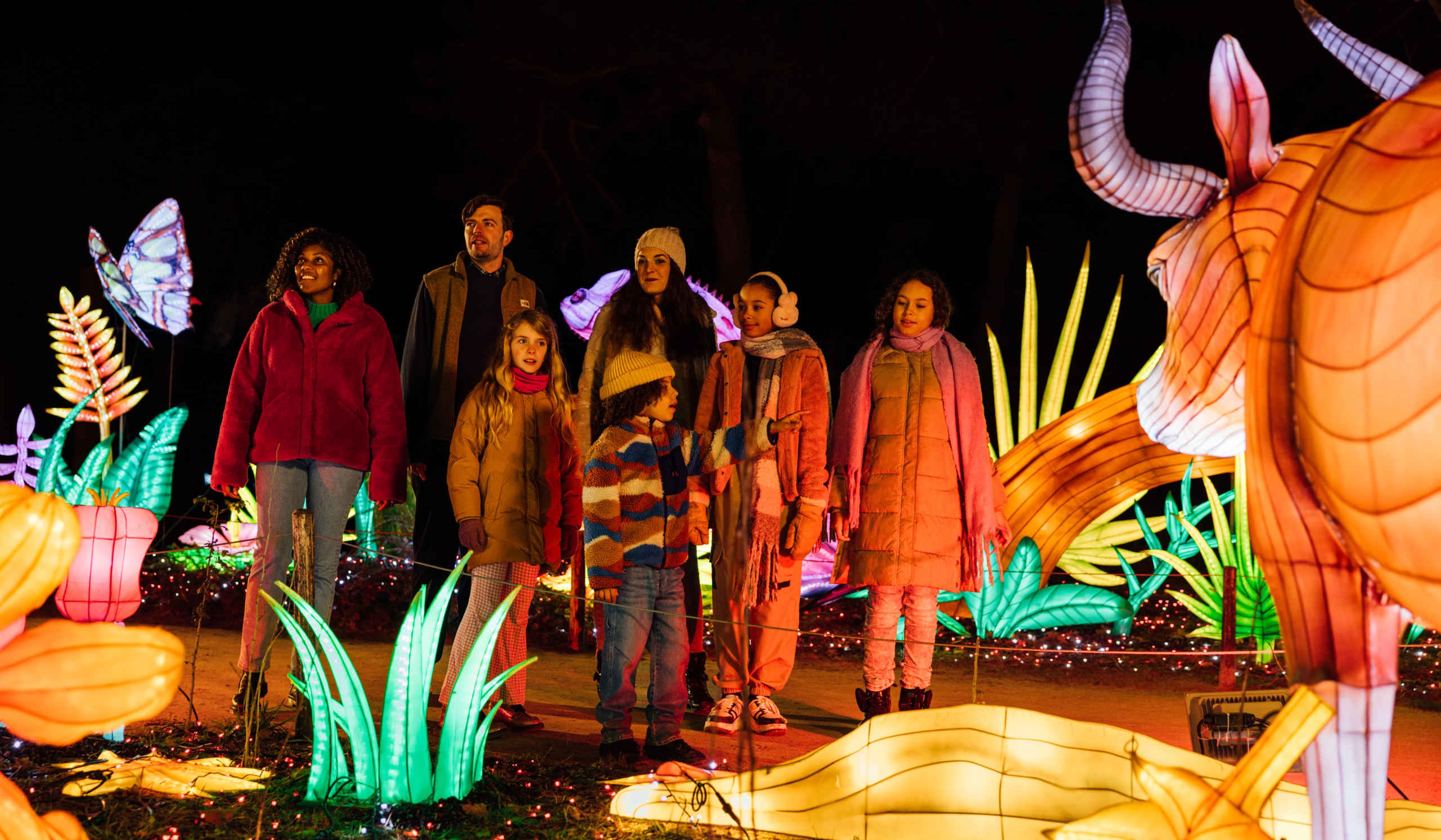 Light Safari | Safaripark Beekse Bergen