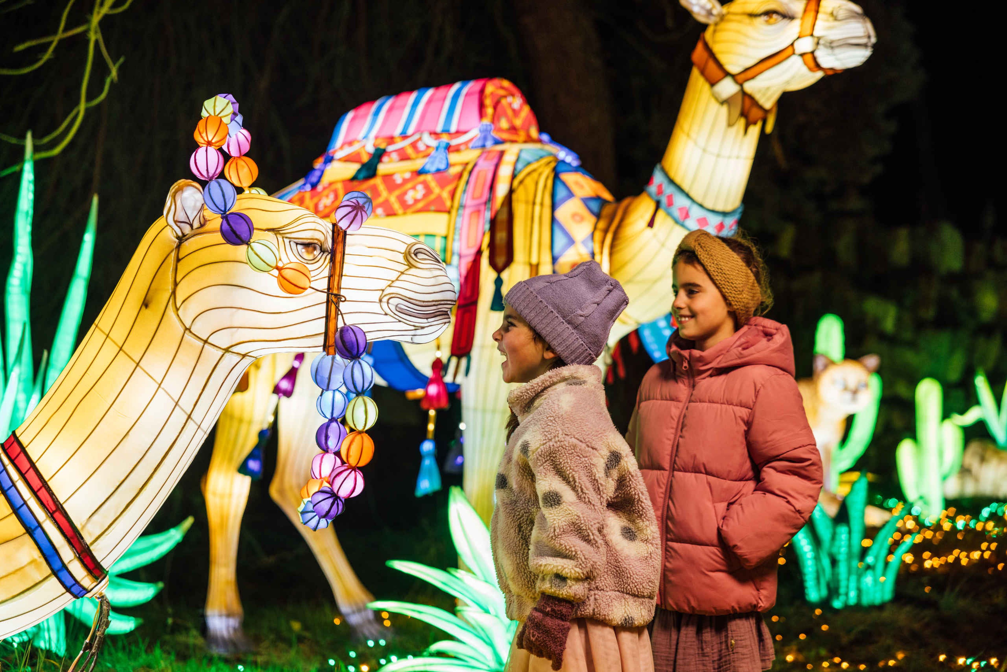 Light Safari | Safaripark Beekse Bergen