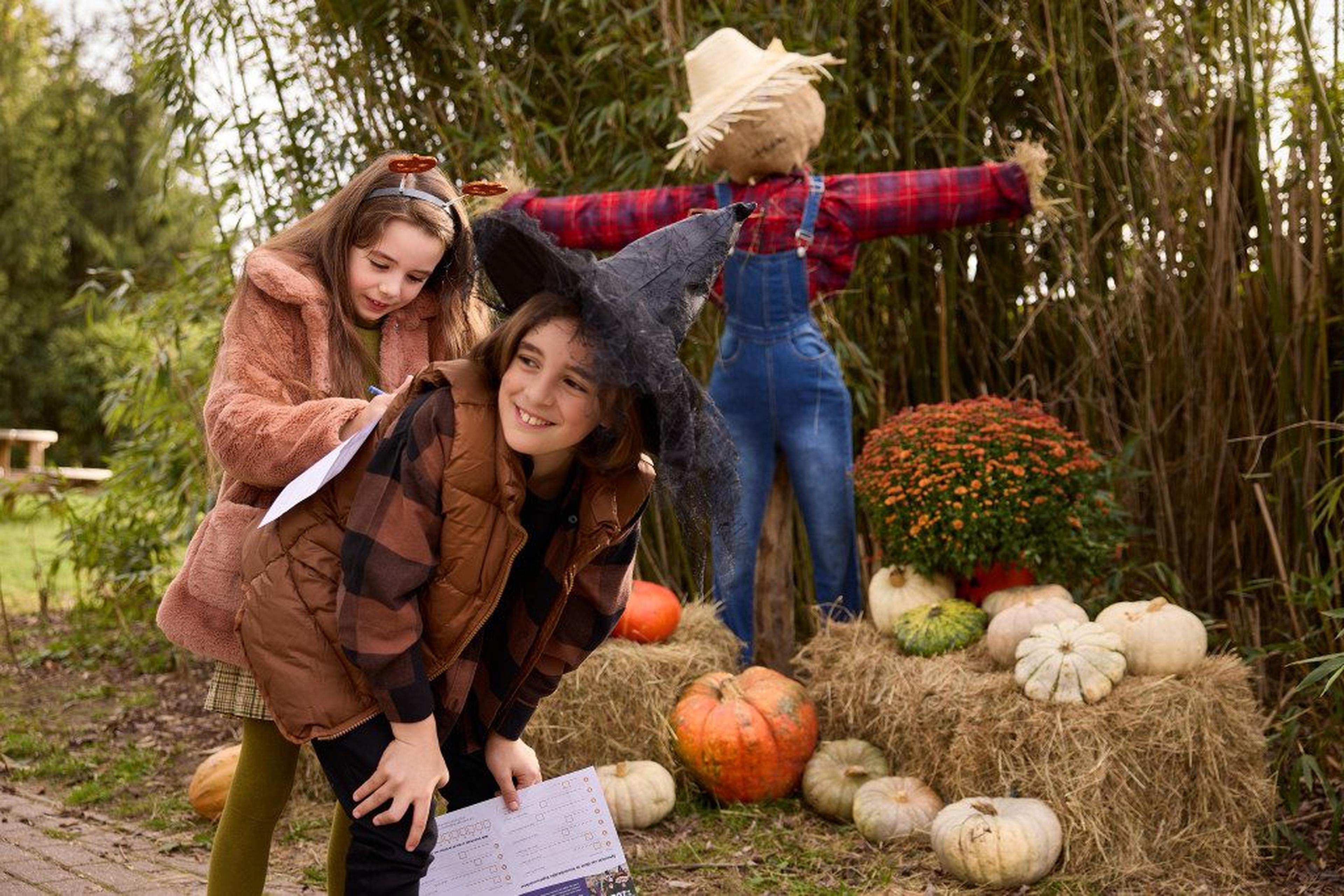 BOEH! in de ZOO keert terug in Eindhoven Zoo
