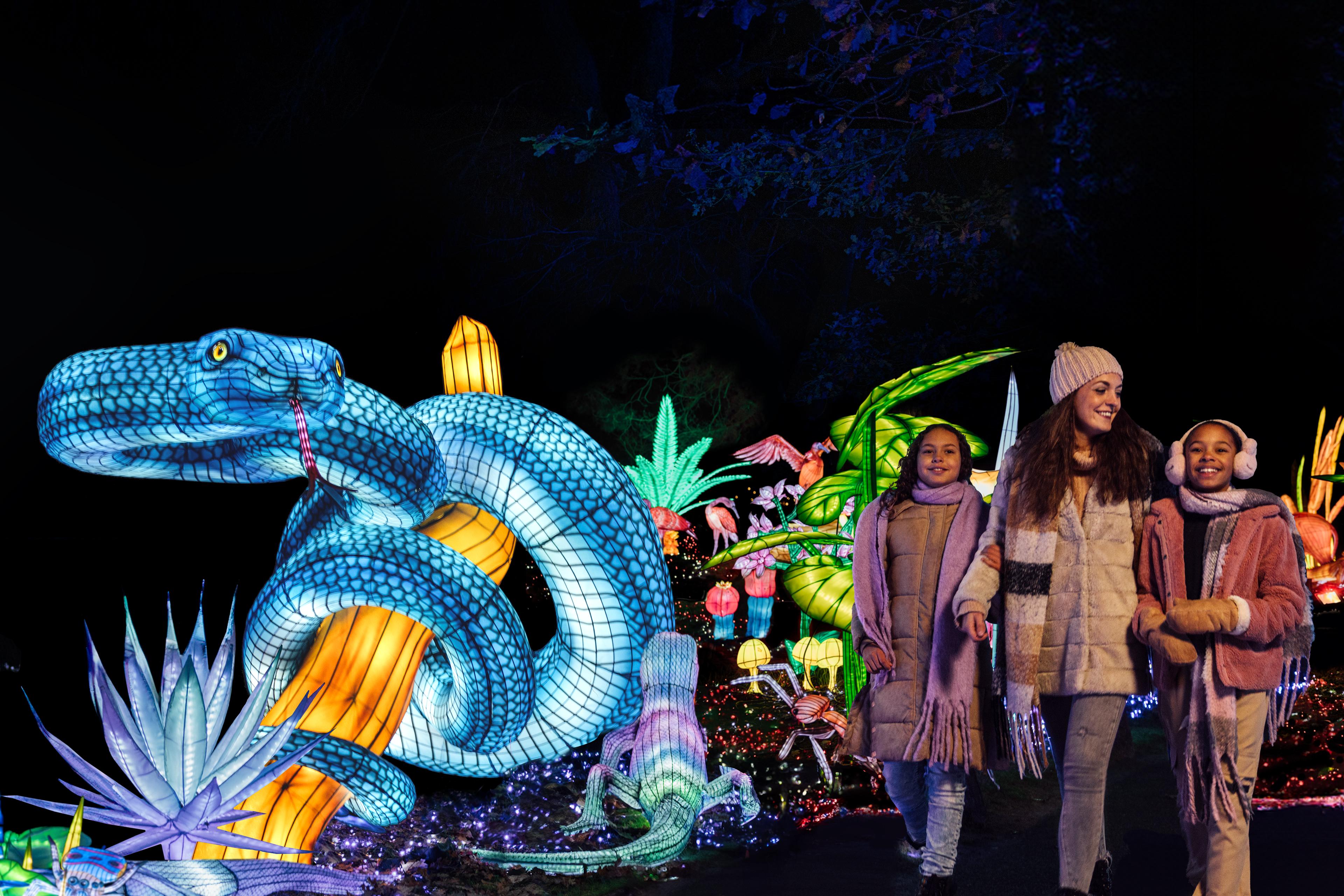 Light Safari | Safaripark Beekse Bergen