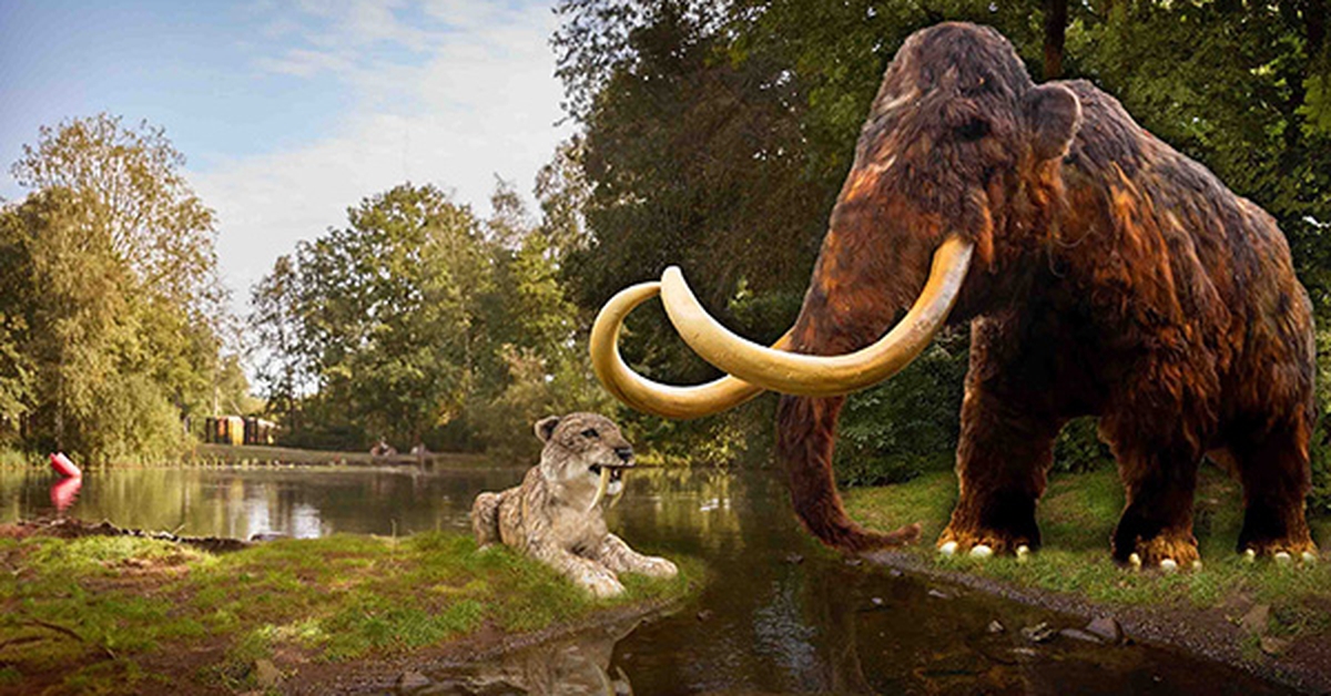 AquaZoo gaat terug in de tijd met nieuwe tijdelijke expositie: IJstijd ...