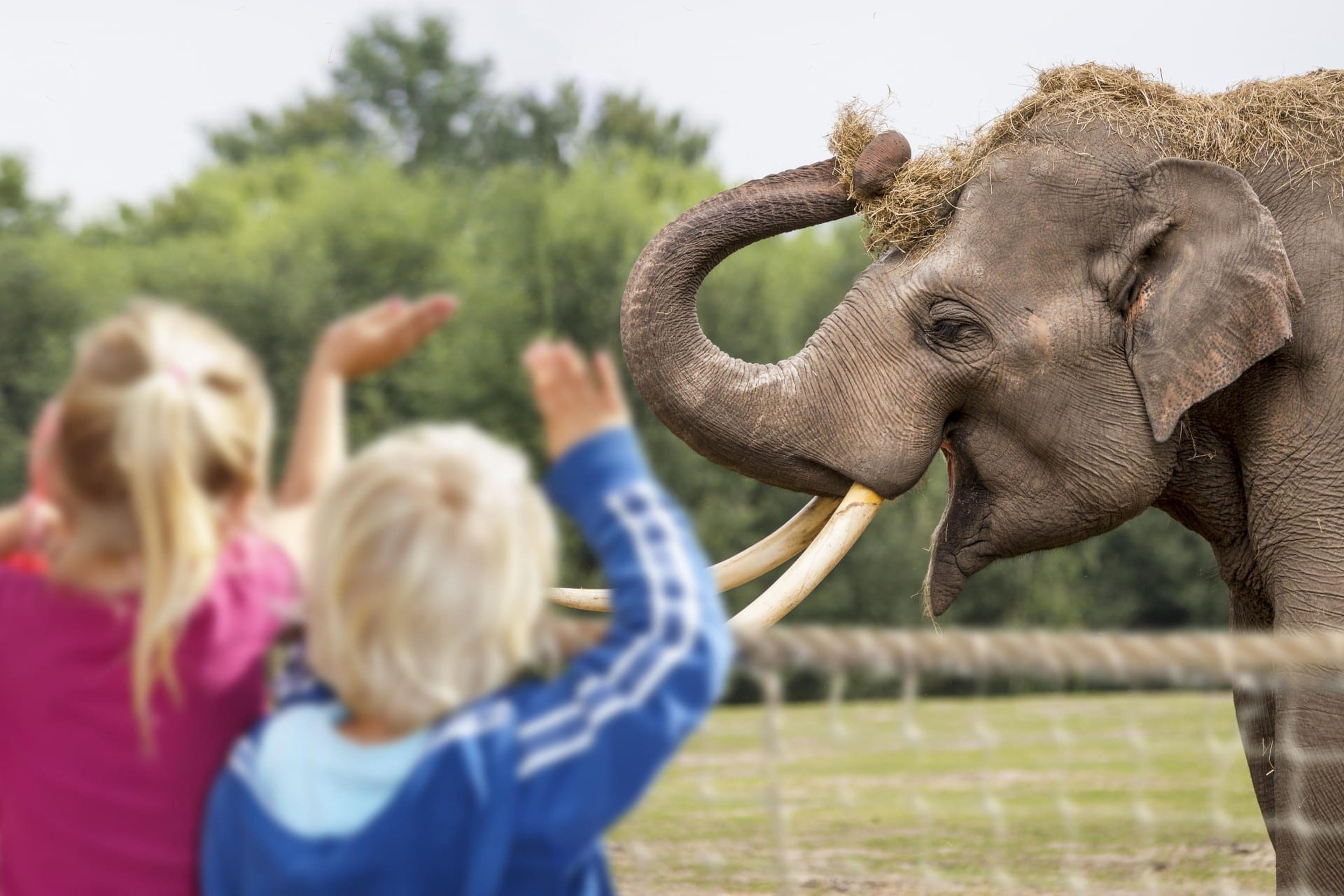 Peter van der Schans to work as new general manager | Eindhoven Zoo