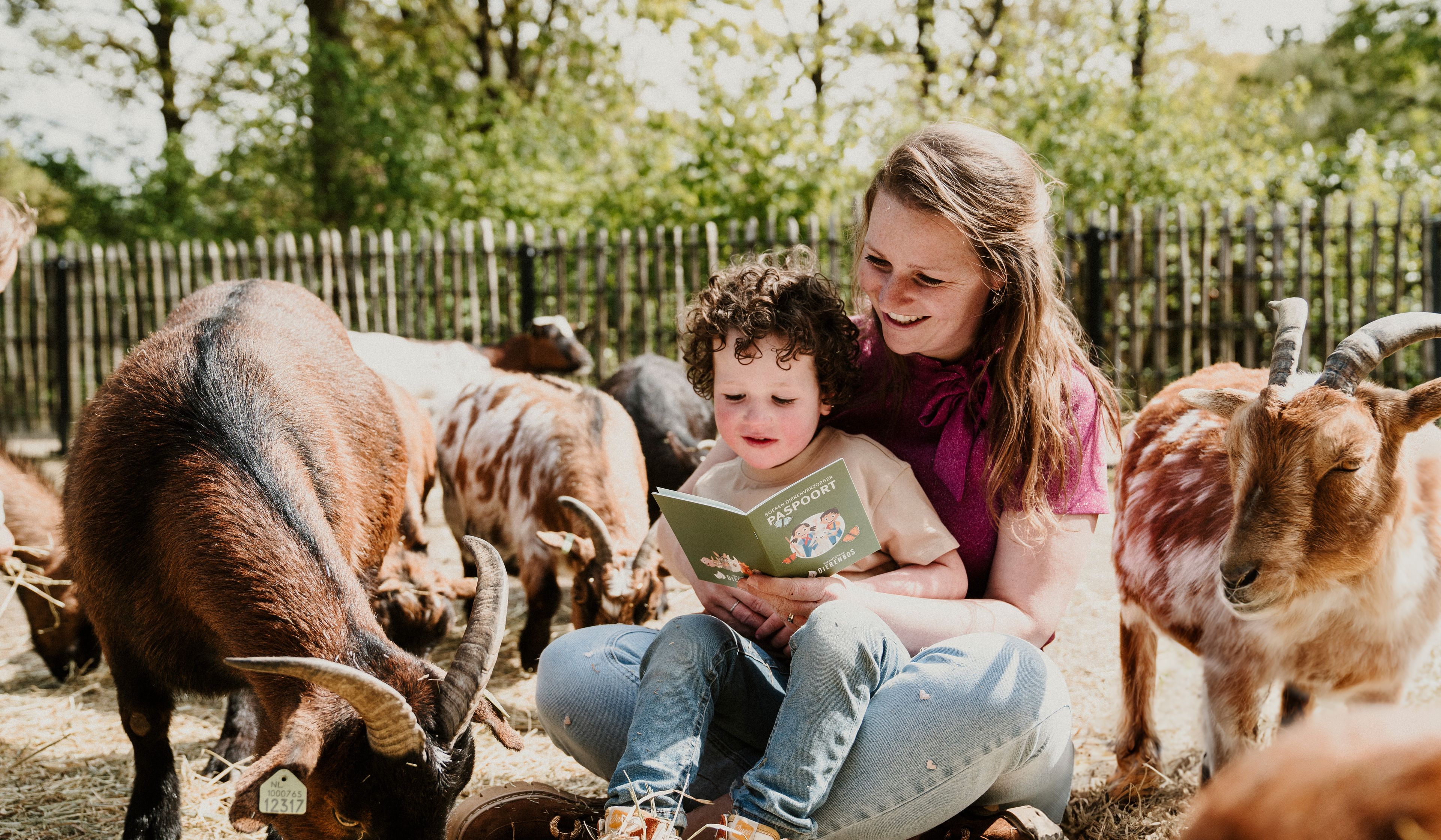 Over ons | Vakantiepark Dierenbos