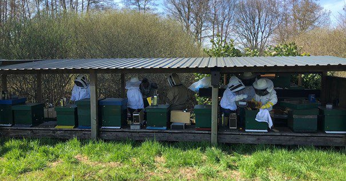 ZooParc Overloon participates in National Open Beekeeper Day | ZooParc