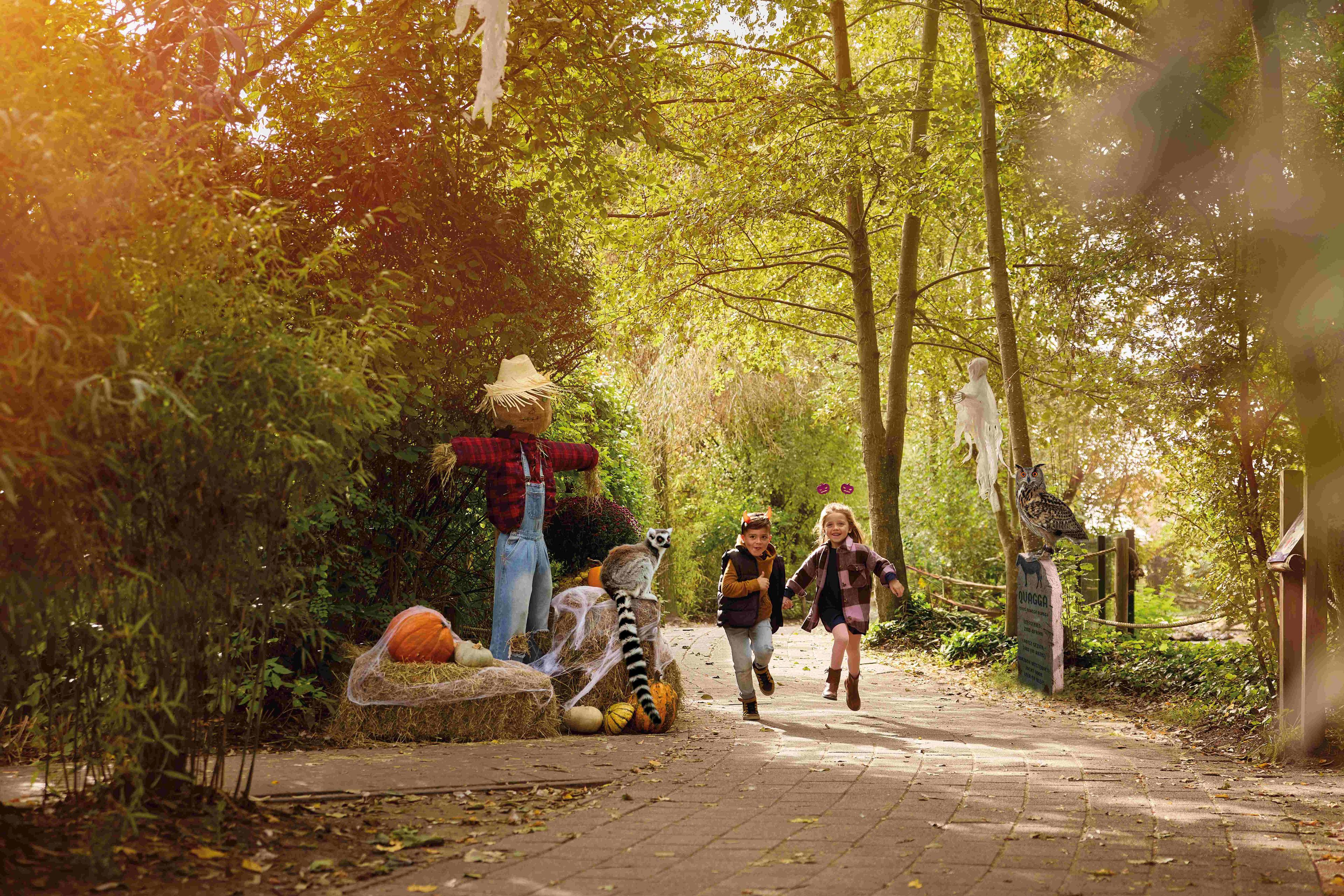 BOEH! in de ZOO komt terug: griezelen tussen de dieren