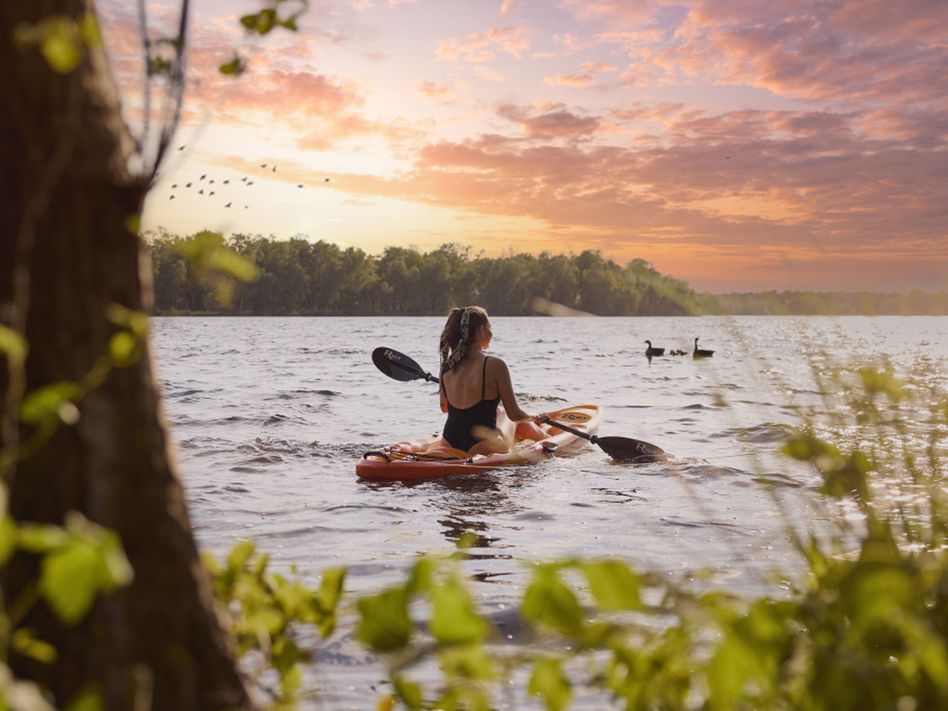 Hayi Canoe & Bike Rental | Beekse Bergen