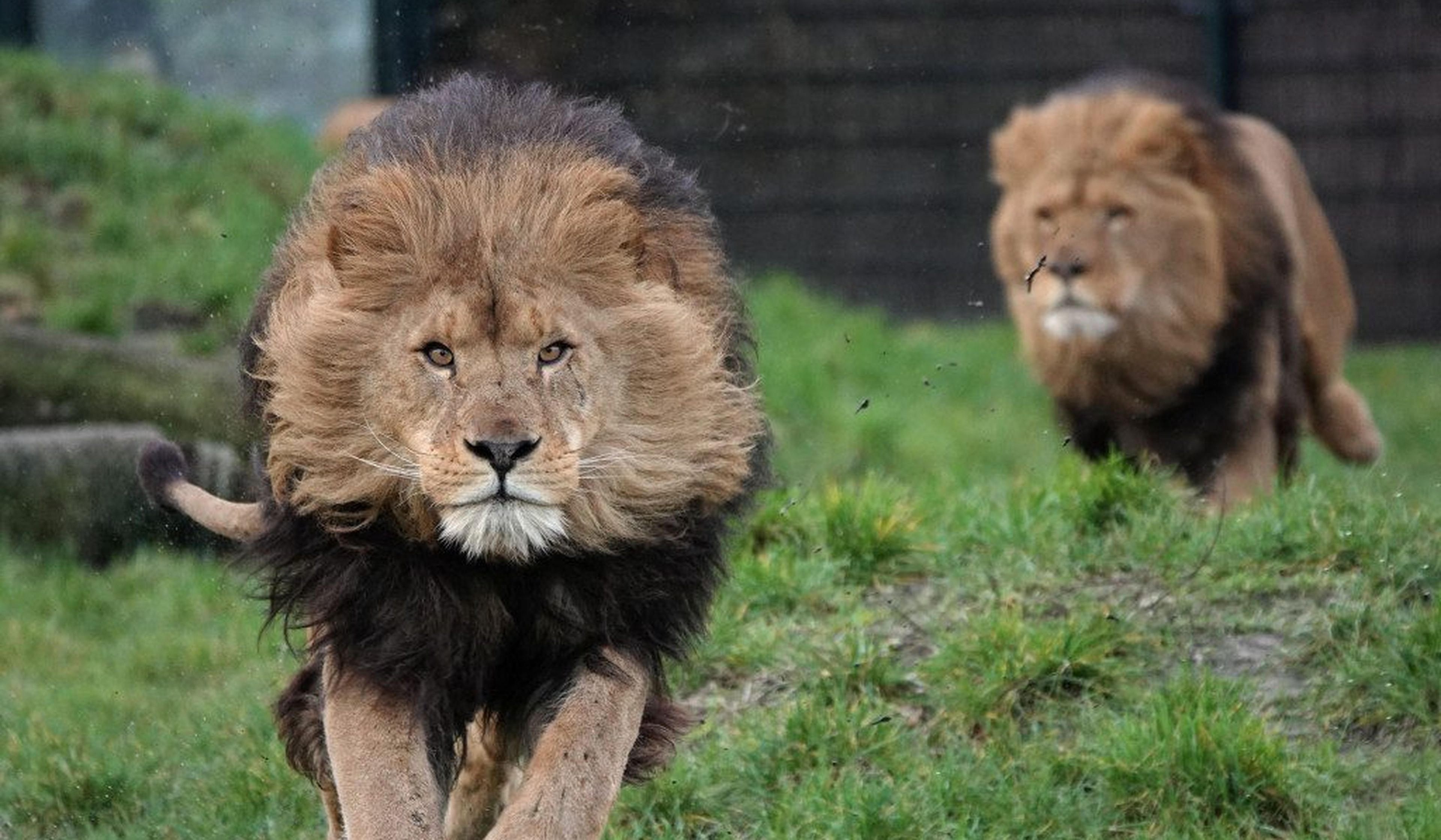 Discover Zoo program at ZooParc Overloon