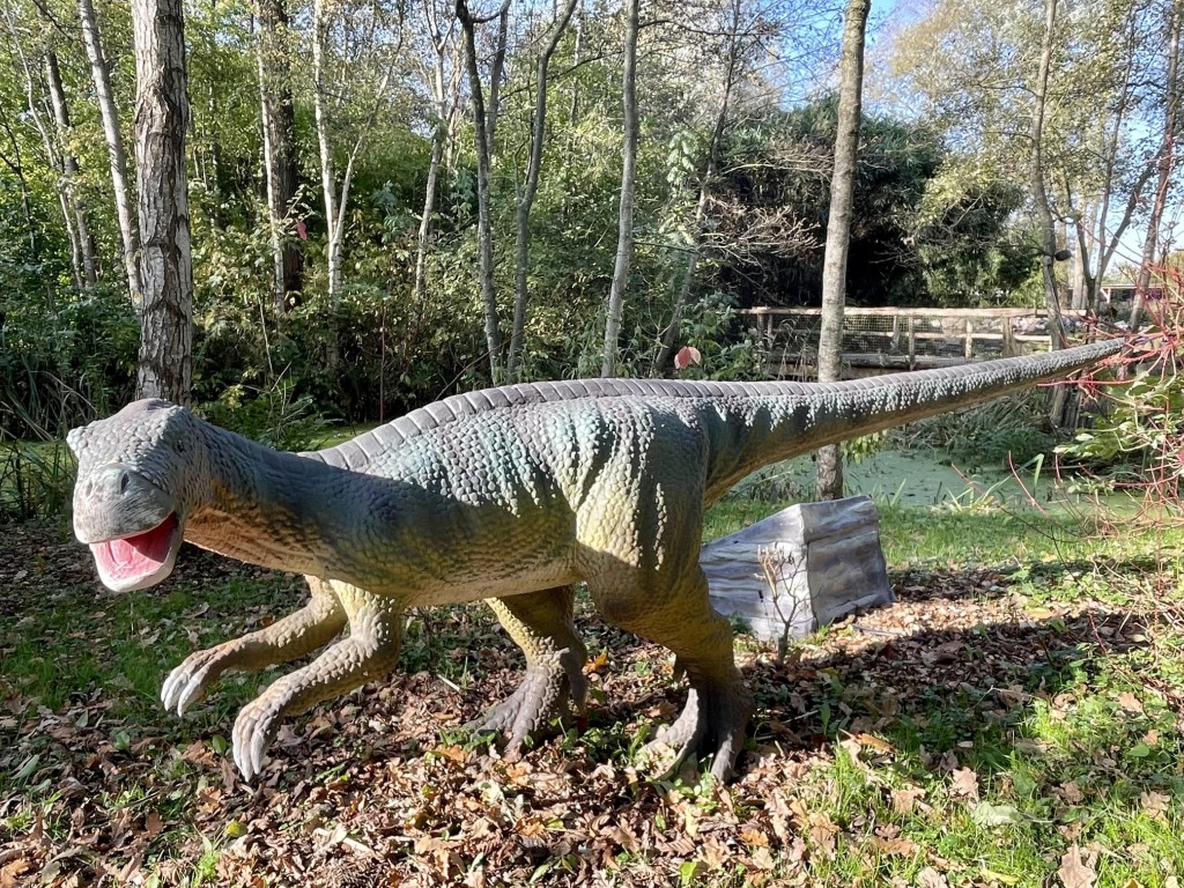 Dinosaurs at AquaZoo extended by week due to success