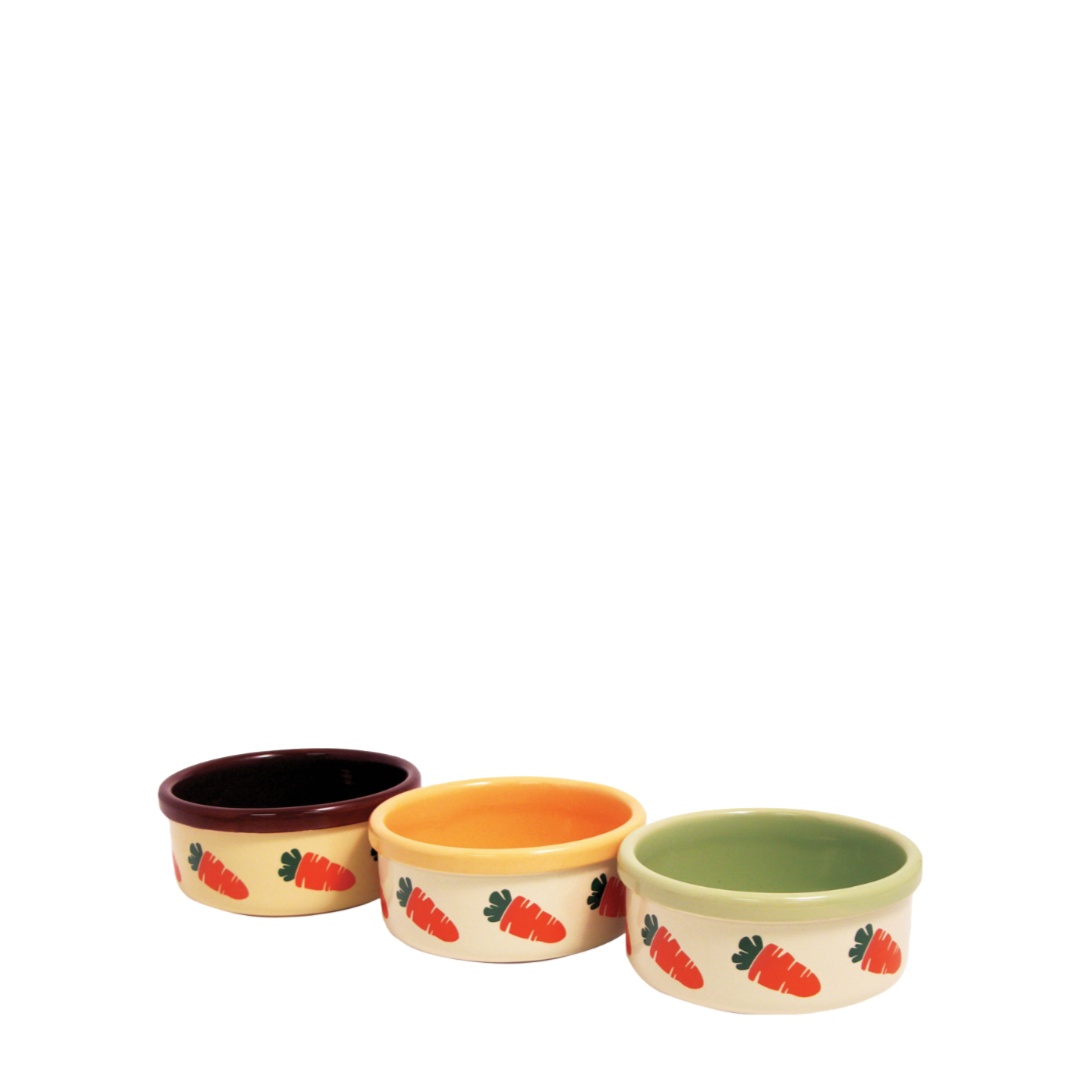 Rosewood | Carrot Design | Ceramic Bowl for Rabbits 12.5 cm