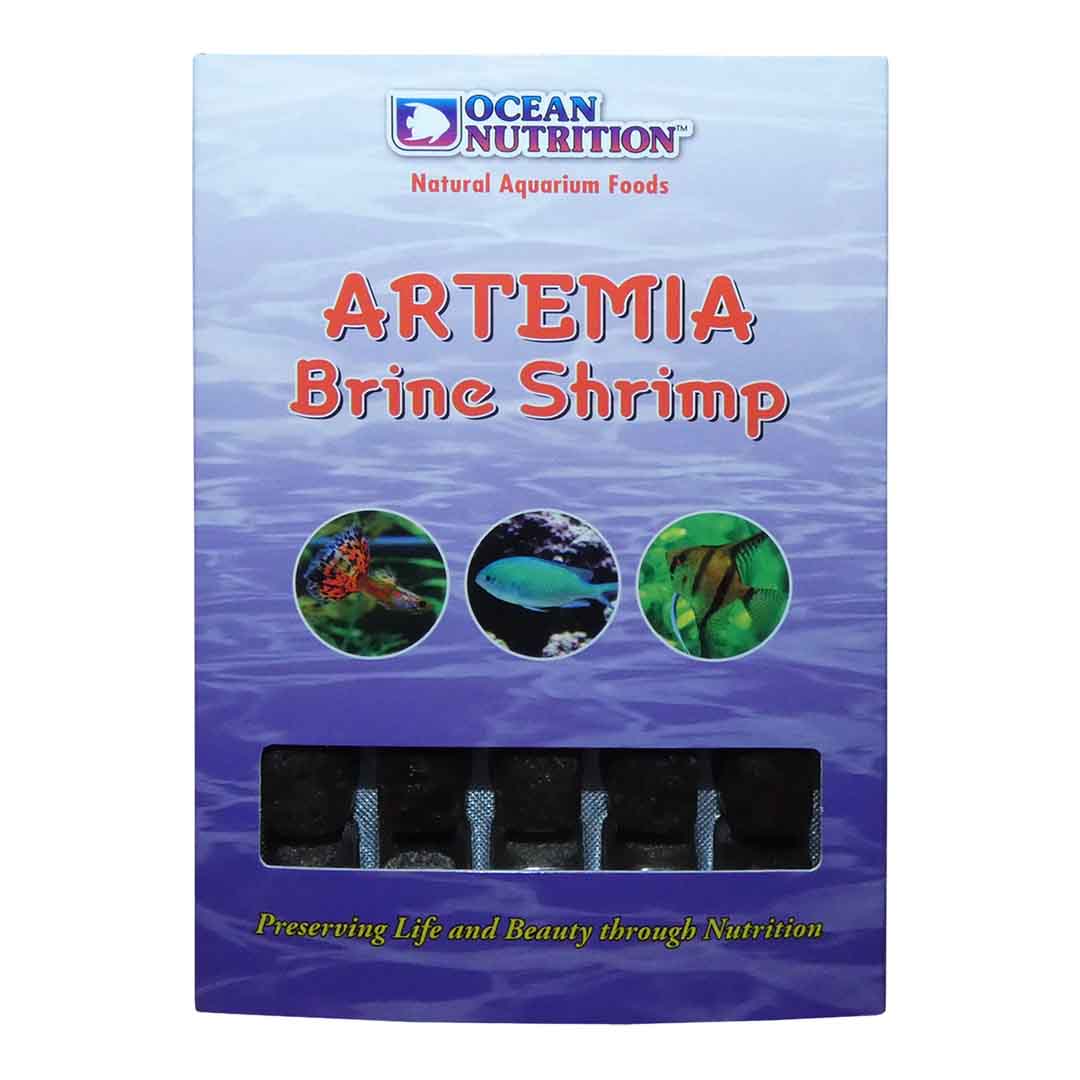 Ocean Nutrition Frozen Artemia Cube 100g | Fish Food